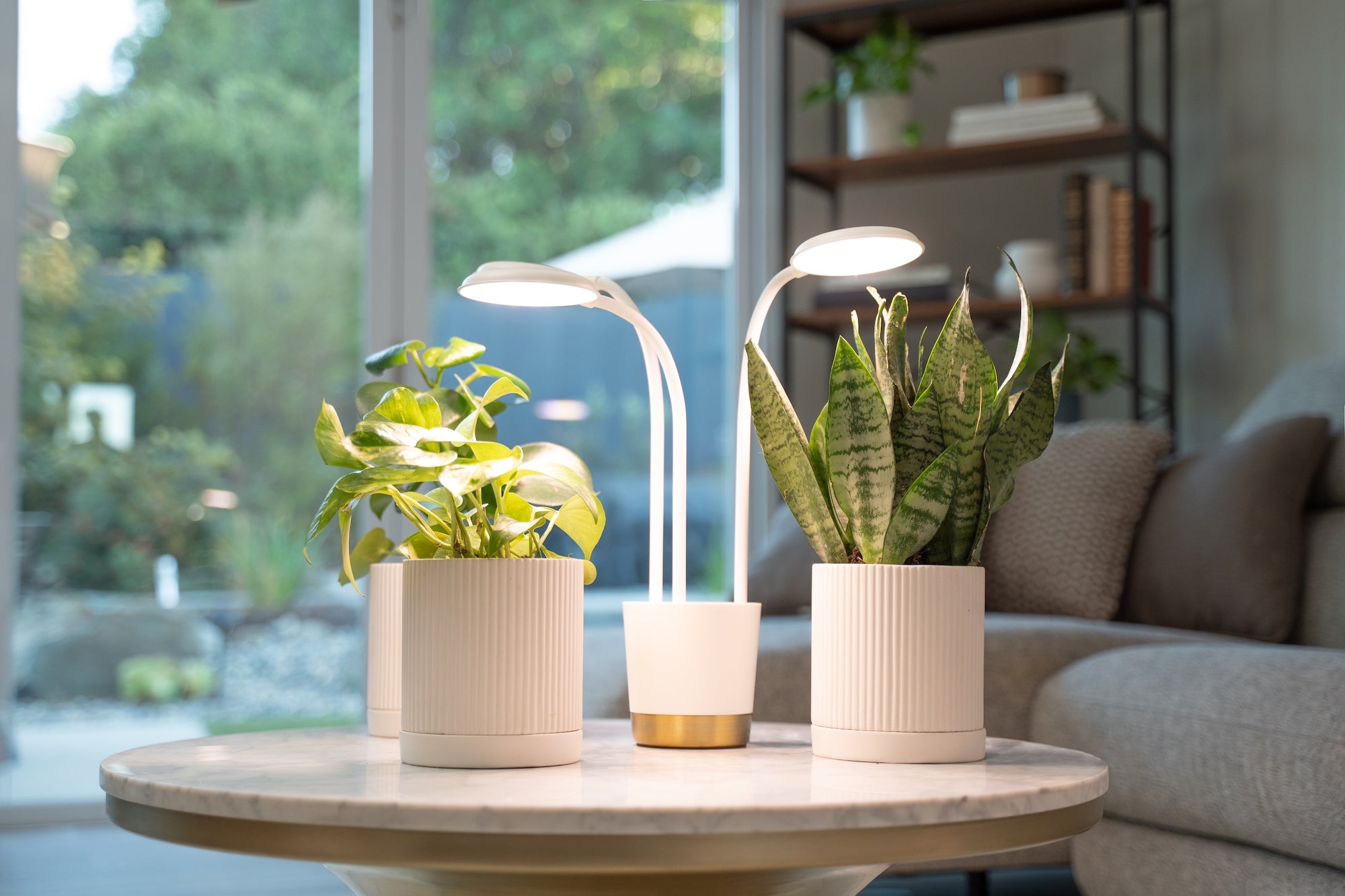 What Lights Can Compensate for Poor Plant Lighting? – Glowrium