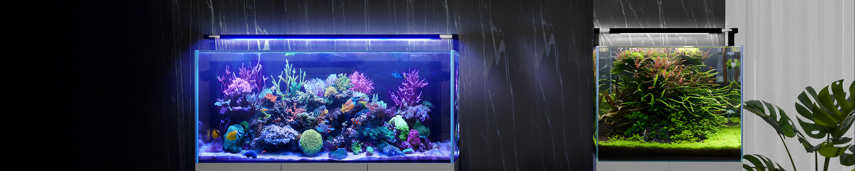 Submersible LED Aquarium Light – Glowrium