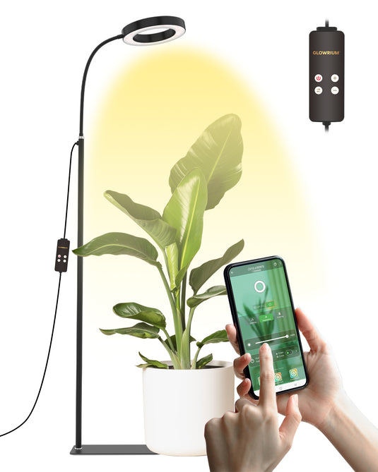 High Quality LED Lamps丨Colorful life springs from Glowrium