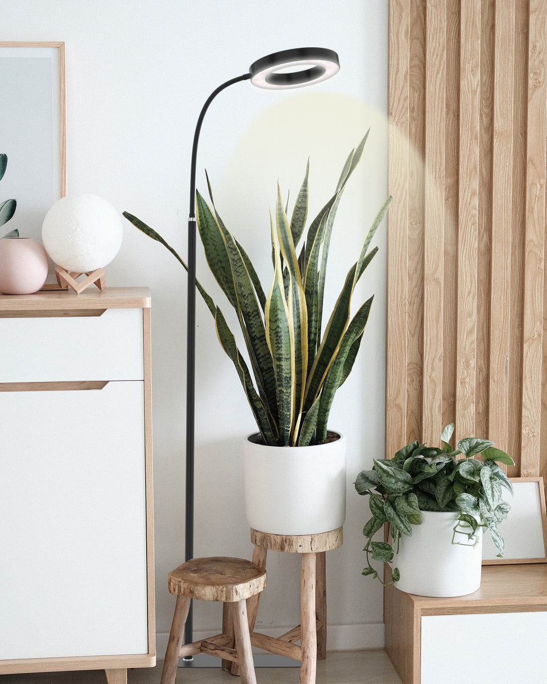 High Quality LED Lamps丨Colorful life springs from Glowrium