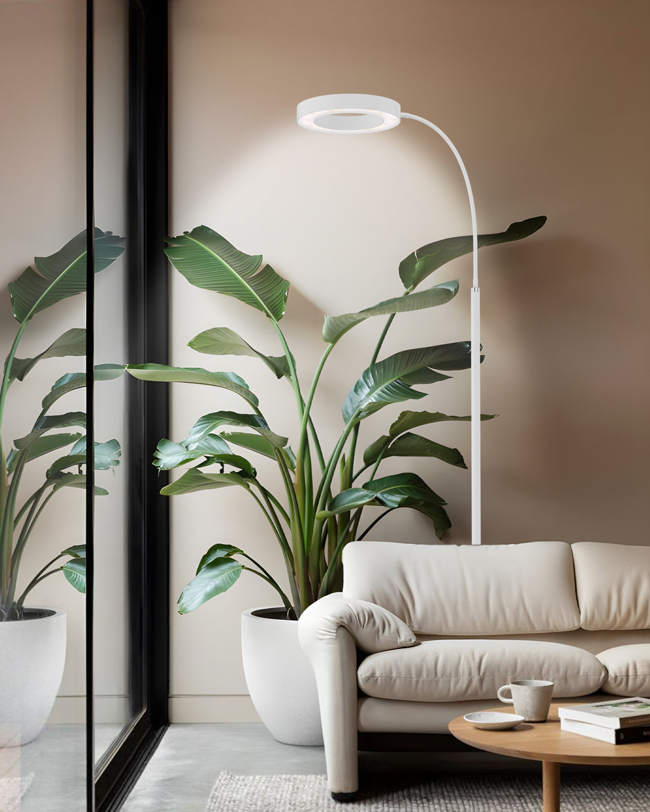 High Quality LED Lamps丨Colorful life springs from Glowrium